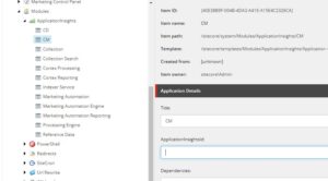 Application Insights Module: Switch to Entra Auth - Dean OBrien